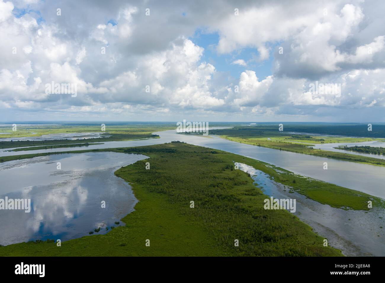 Aerial view of Big Island between the Blakeley and Apalachee rivers in ...