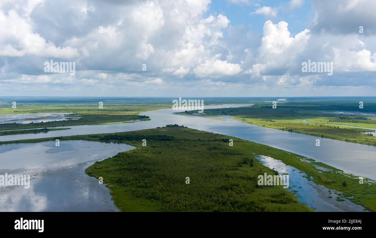 Aerial view of Big Island between the Blakeley and Apalachee rivers in ...