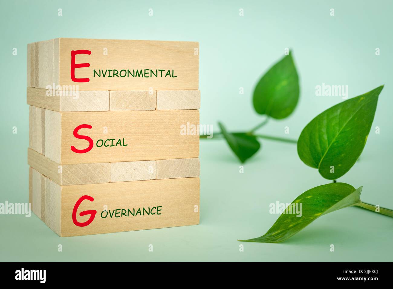 ESG environmental, social and governance concept. ESG words on a wooden ...