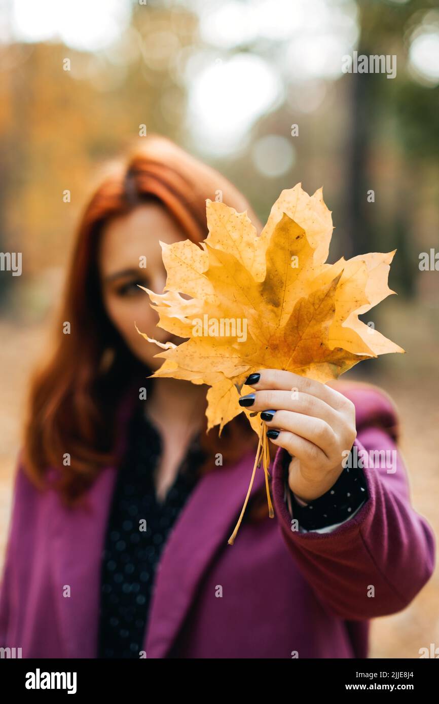 Autumn fashion, earth tones style, bright fall color palette. Portrait ... Autumn fashion, earth tones style, bright fall color palette. Portrait ...