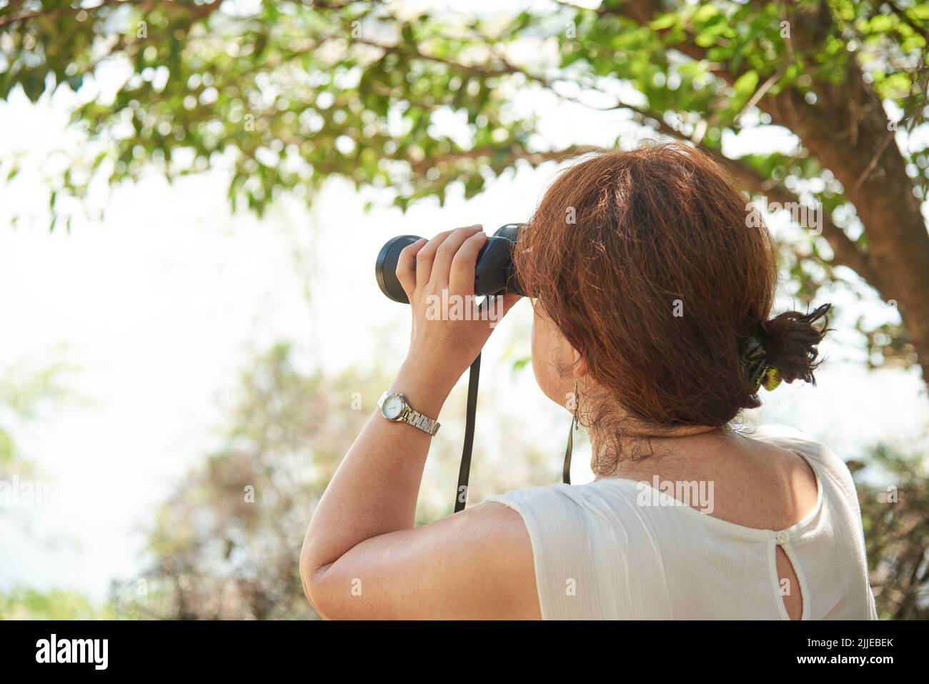 Lookout point binoculars hi-res stock photography and images - Alamy