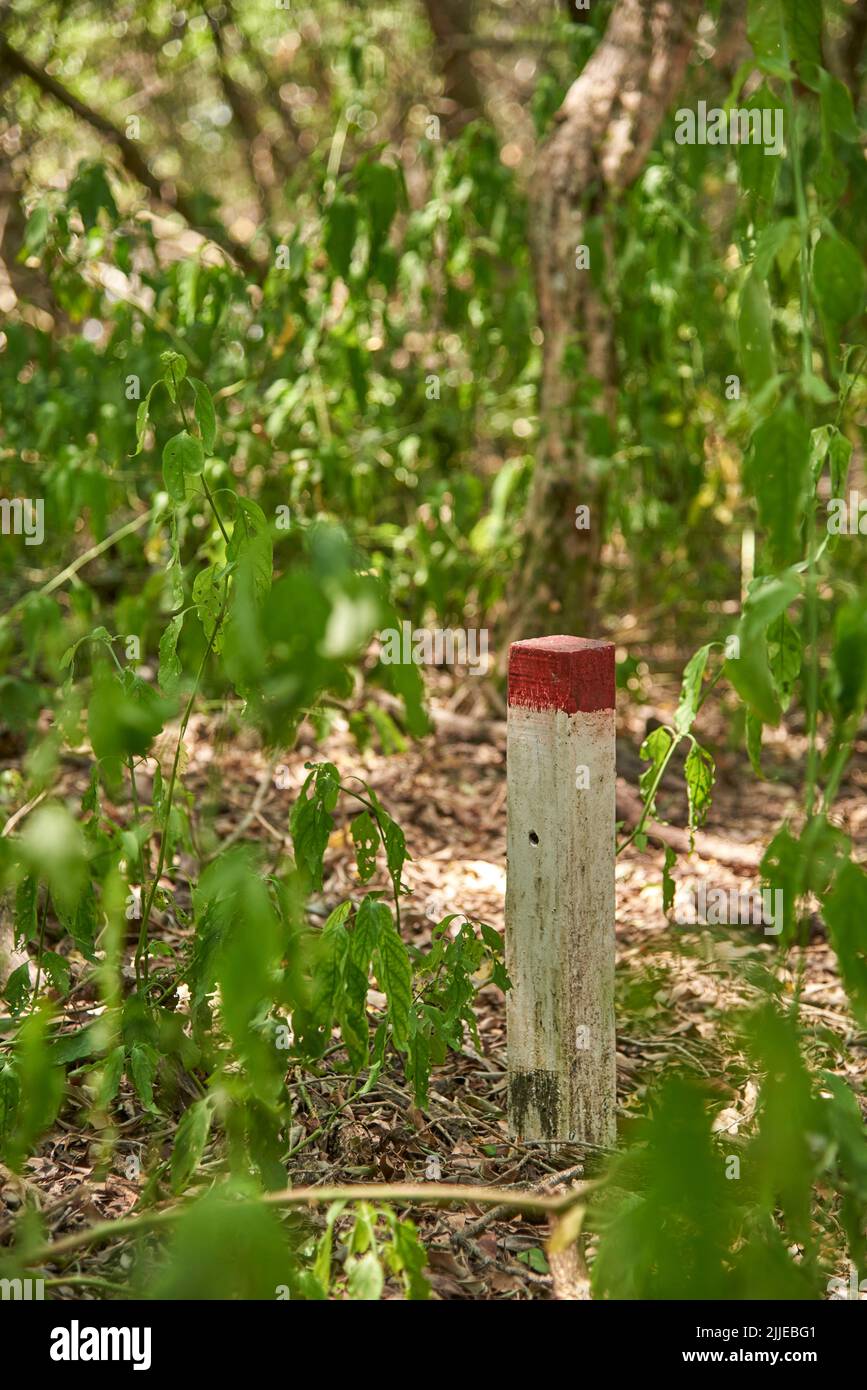 Stake used to demarcate an ecological tourism trail. Concepts: healthy ...