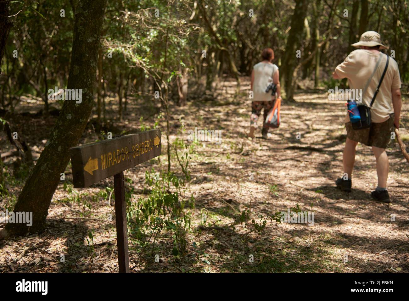 Back view of a couple hiking an ecological trail in El Palmar National ...