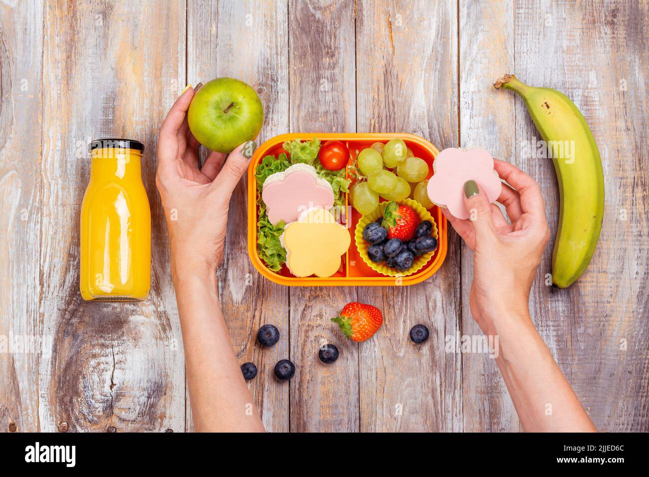 Mother preparing school lunch box. Lunch box with healthy sandwiches ...