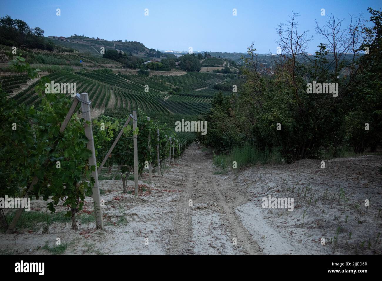 La piccola cittadina di Monteu Roero con i suoi vigneti e le sue ...