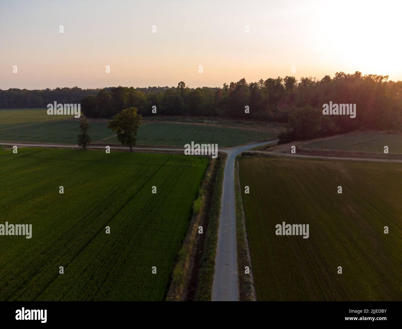 Rice fields in the po padana valley italy hi-res stock photography and ...