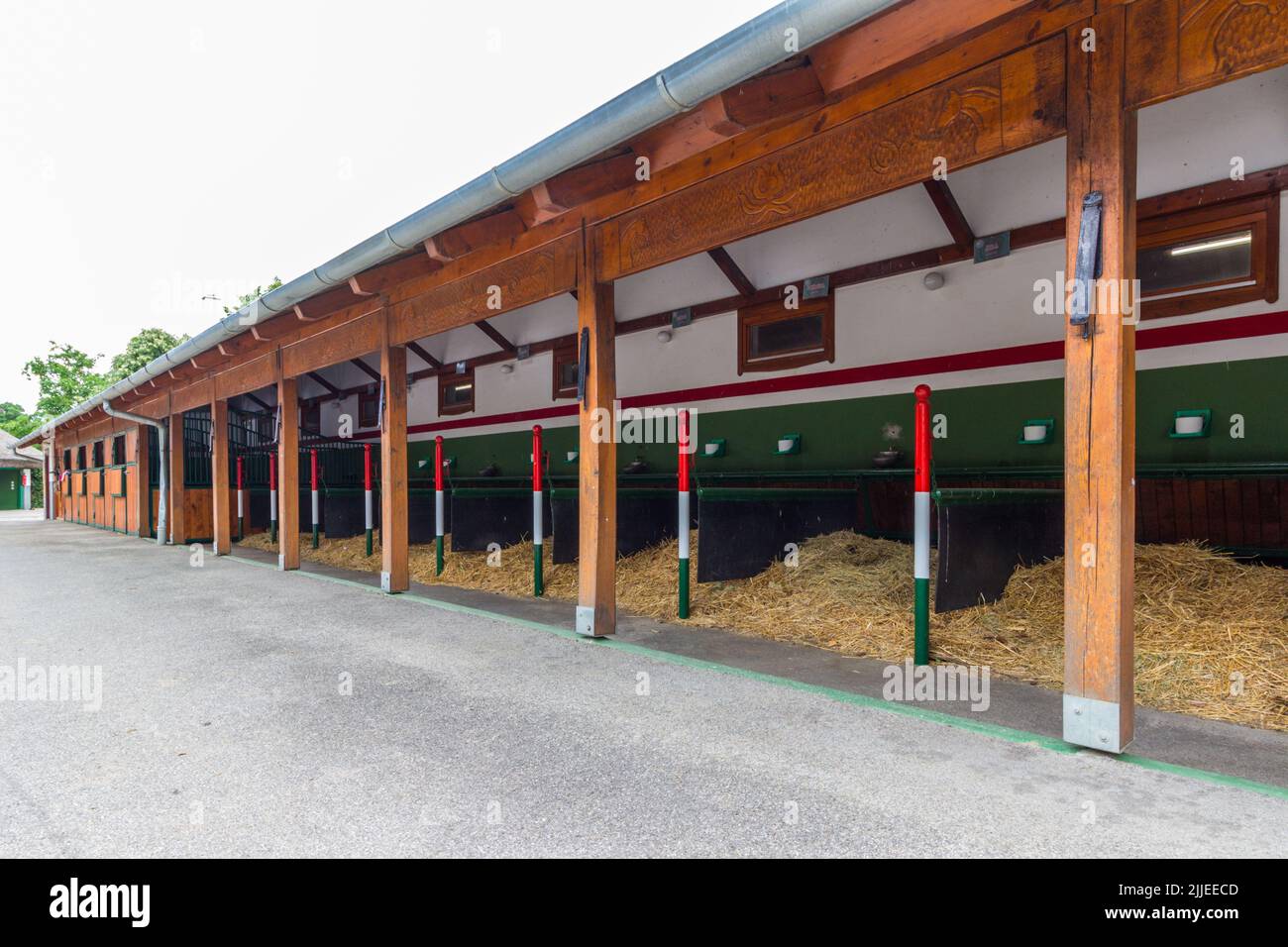 Empty horse hi-res stock photography and images - Alamy