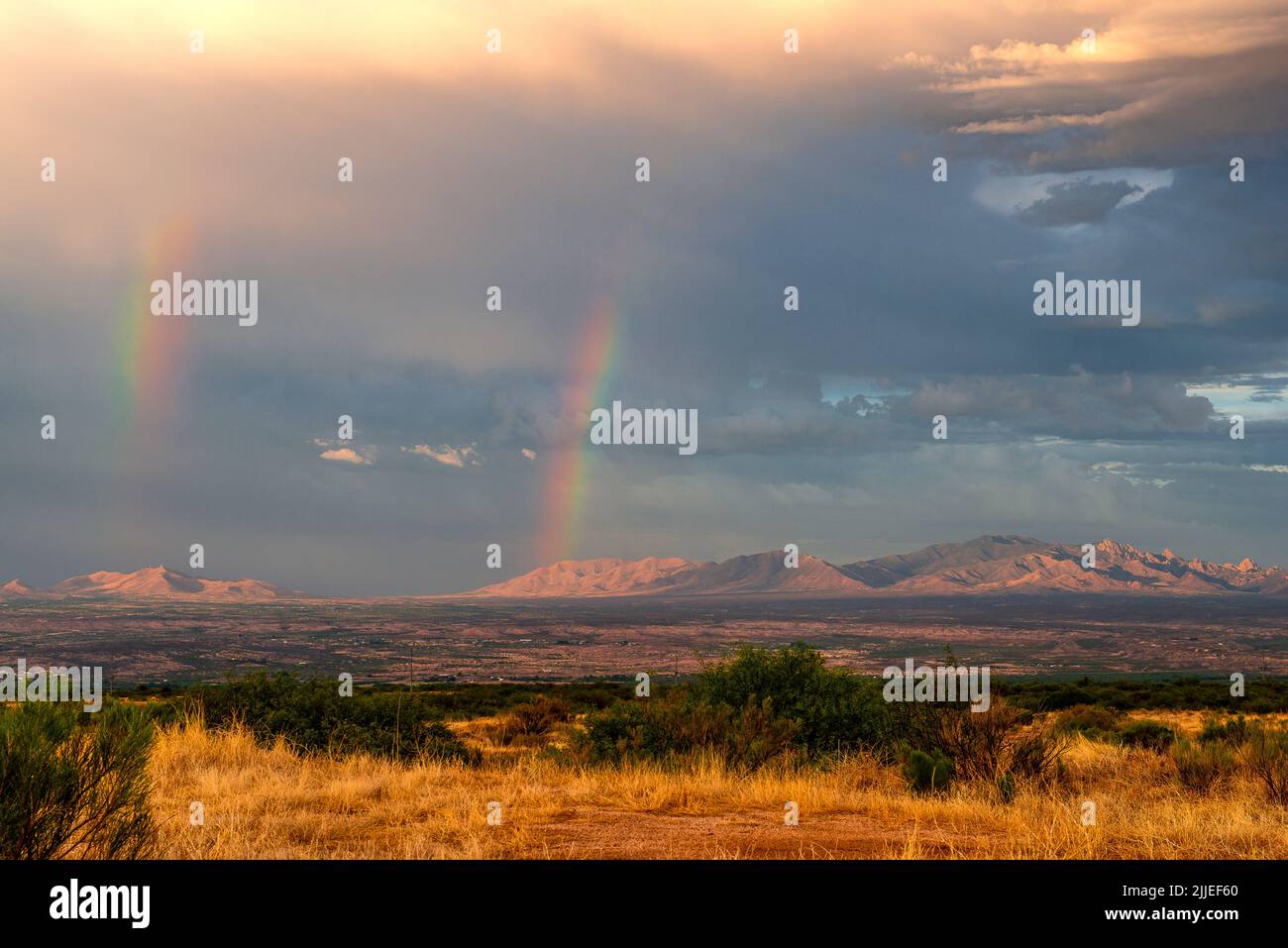 Monsoon Season in Southern Arizona Stock Photo - Alamy