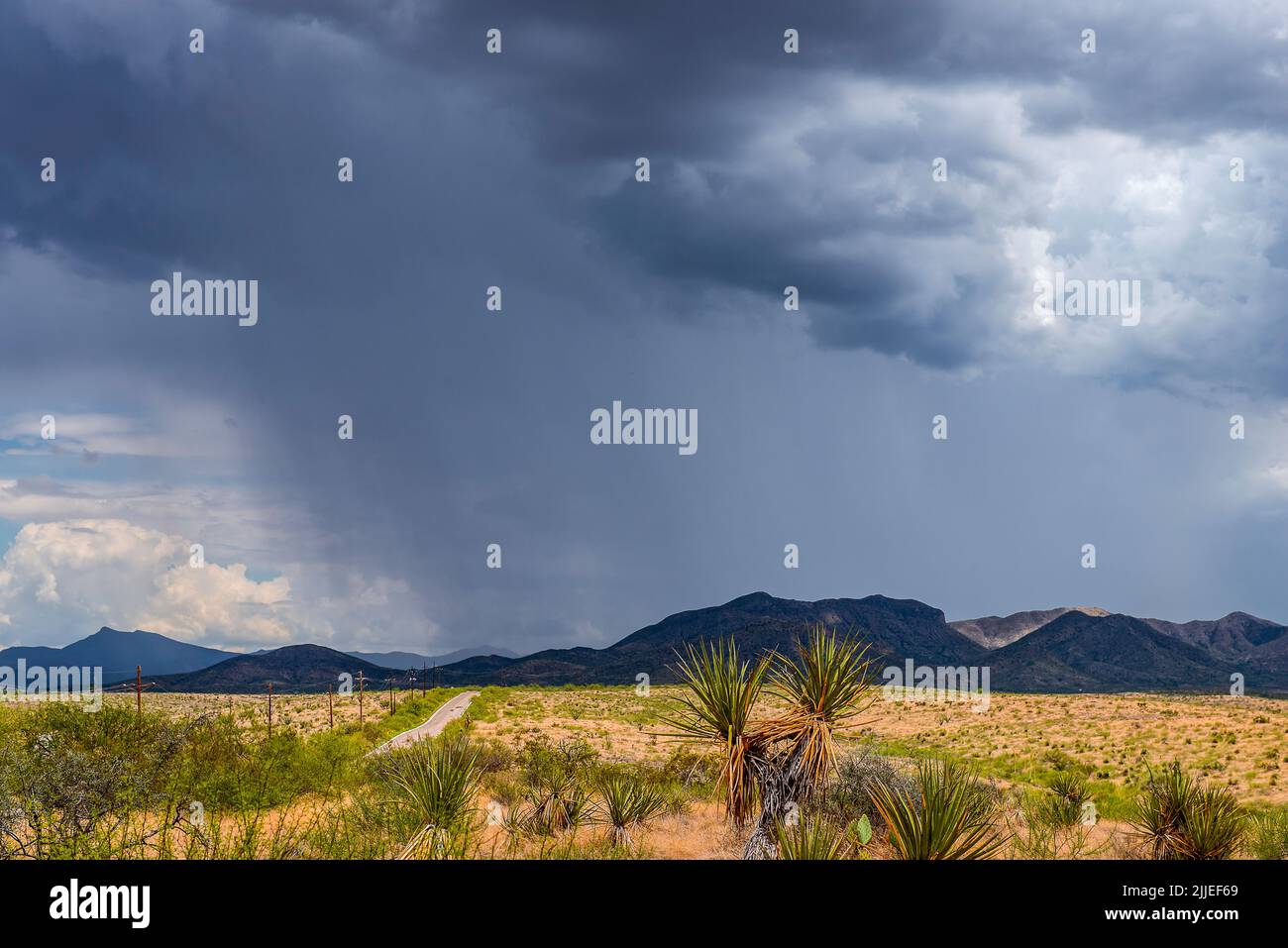 Monsoon Season in Southern Arizona Stock Photo - Alamy
