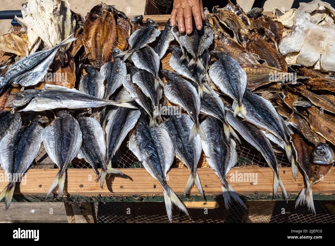 Nazare in Portugal, salted fishes sold on the beach, traditional market ...