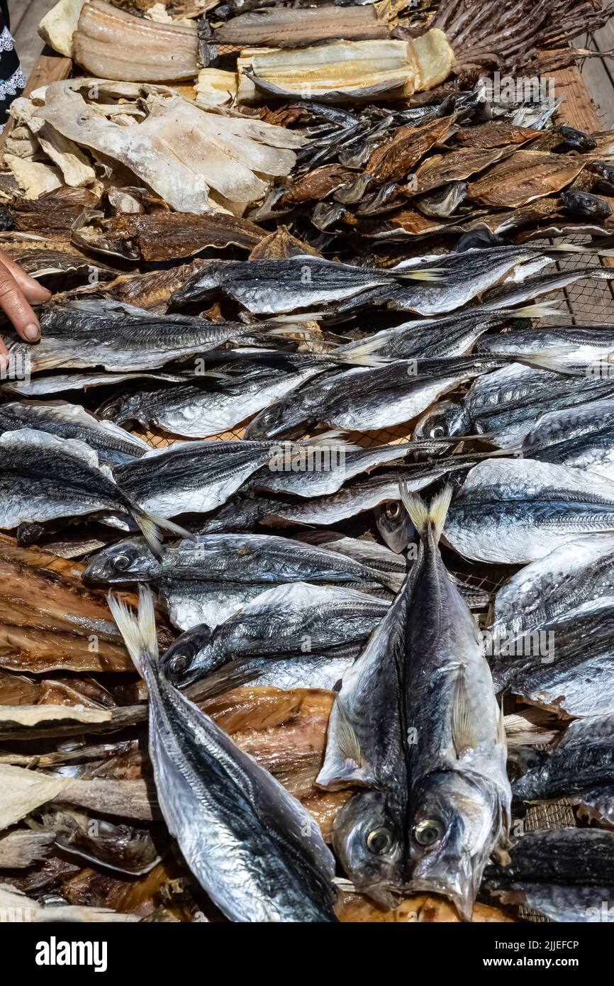 Nazare in Portugal, salted fishes sold on the beach, traditional market ...