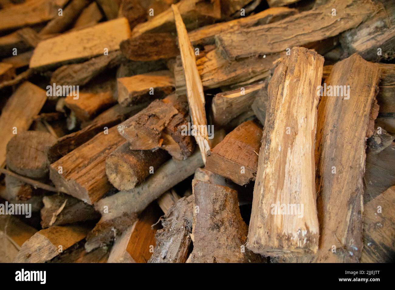 Tree split bottom hi-res stock photography and images - Alamy