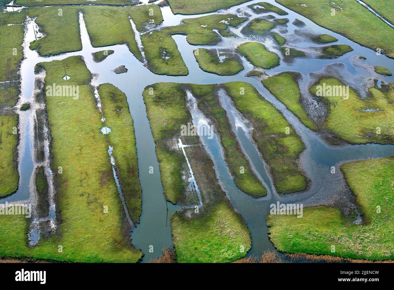marshland, aerial view, Belgium, Flanders, Dudzele Stock Photo - Alamy
