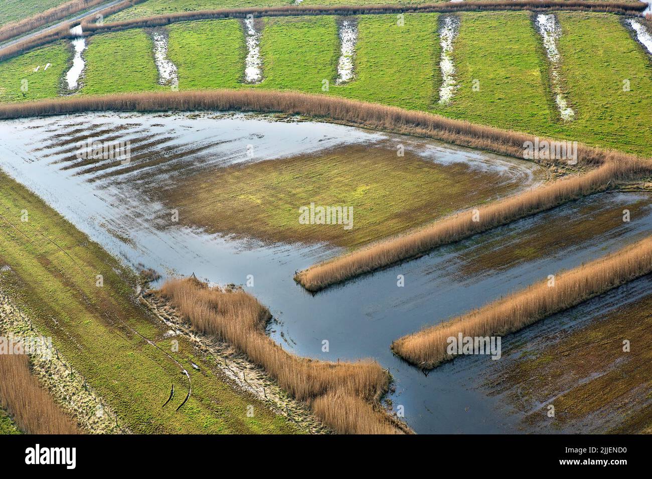 Uitkerkse Polder, aerial view, Belgium, Flanders, Blankenberge Stock ...