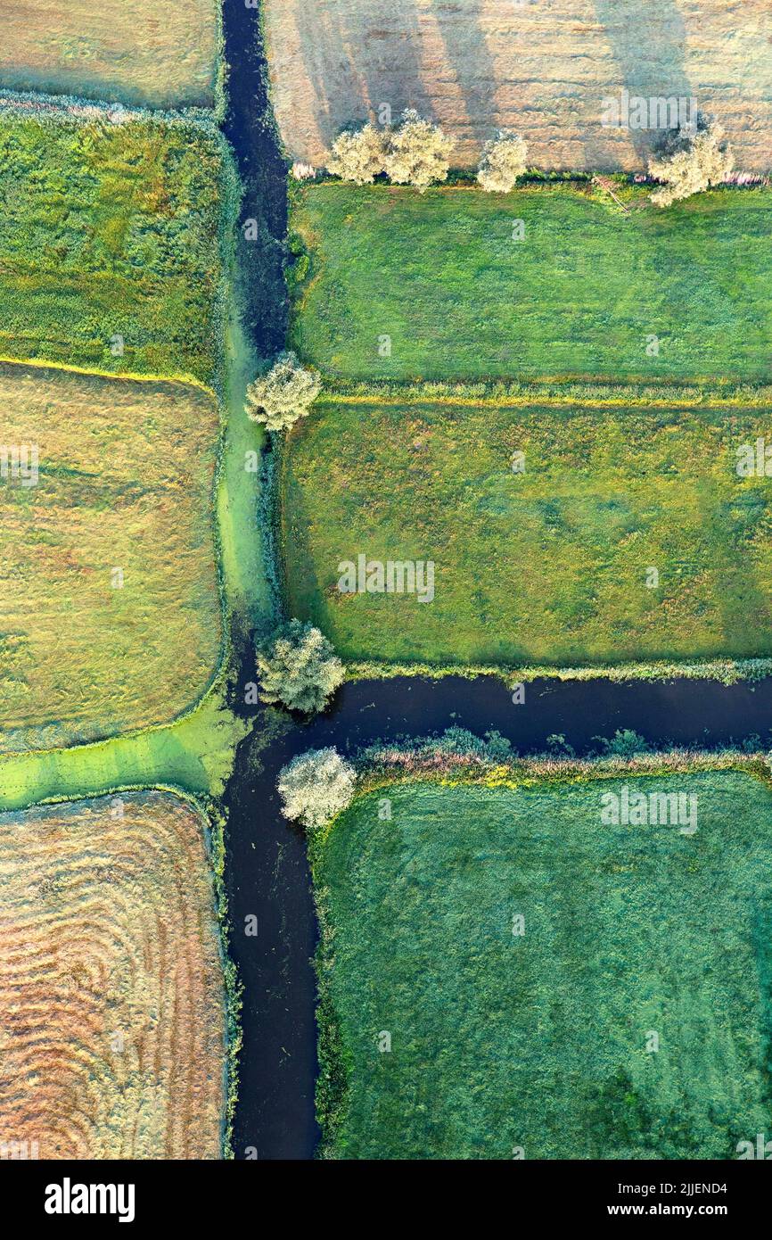 marsh meadows and channels, aerial view, Belgium, Flanders Stock Photo ...