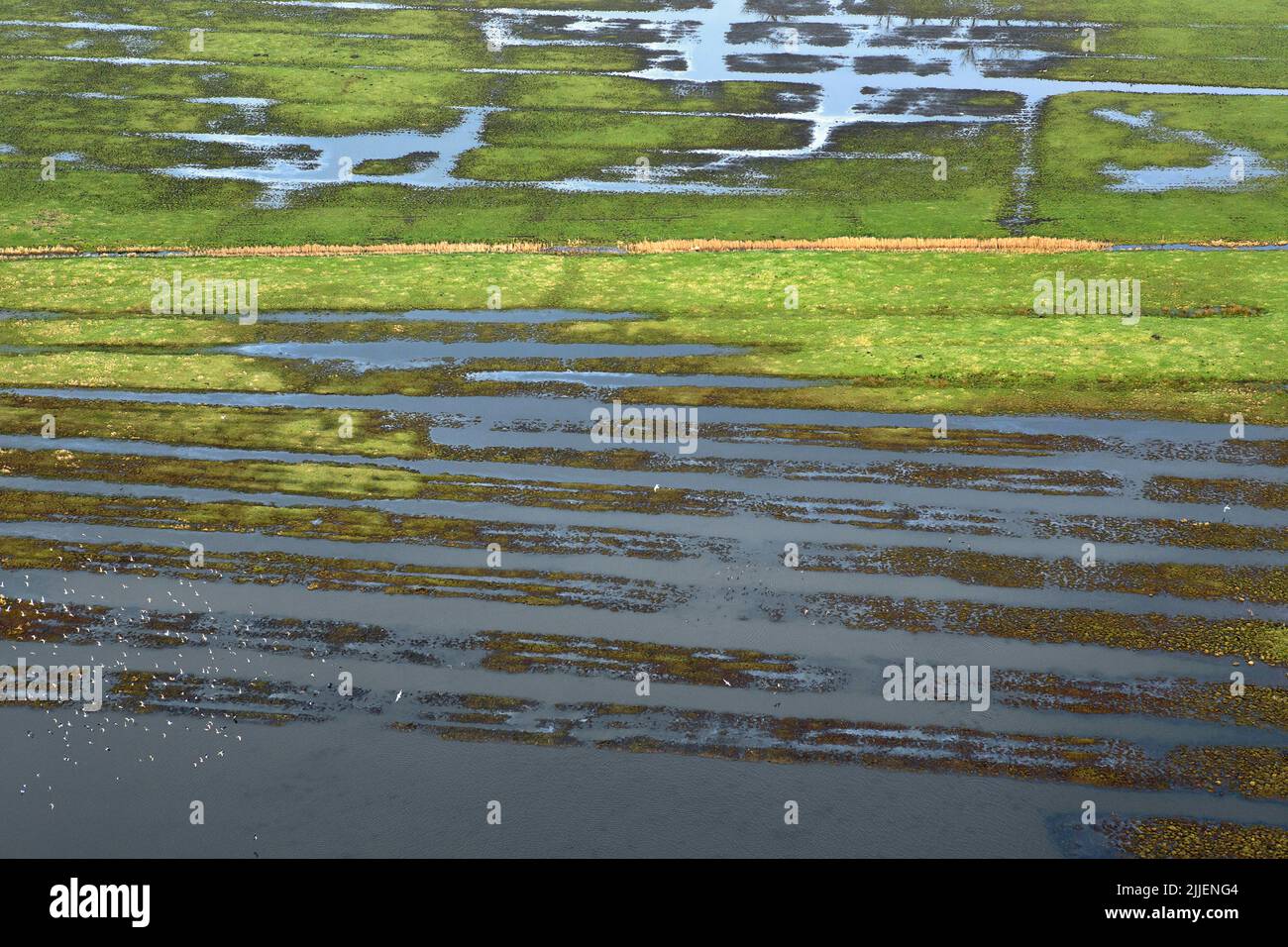 Swamplands aerial hi-res stock photography and images - Alamy