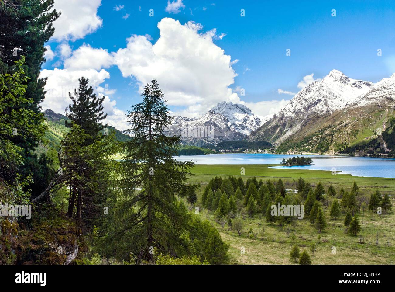 Summer landscape, Lake Sils, Switzerland, Grisons, Oberengadin, Sils ...