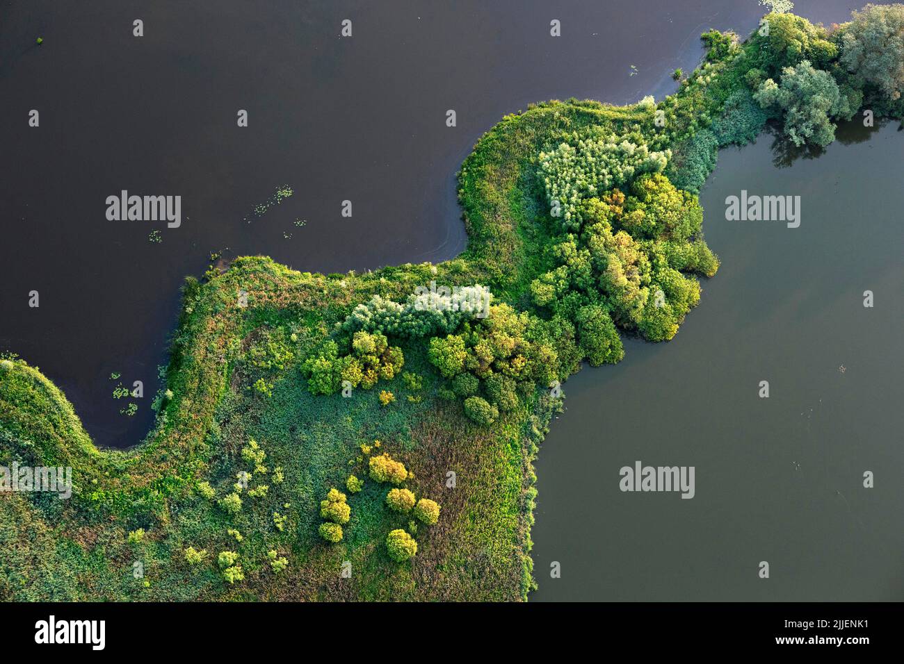 River scenery nature hi-res stock photography and images - Alamy