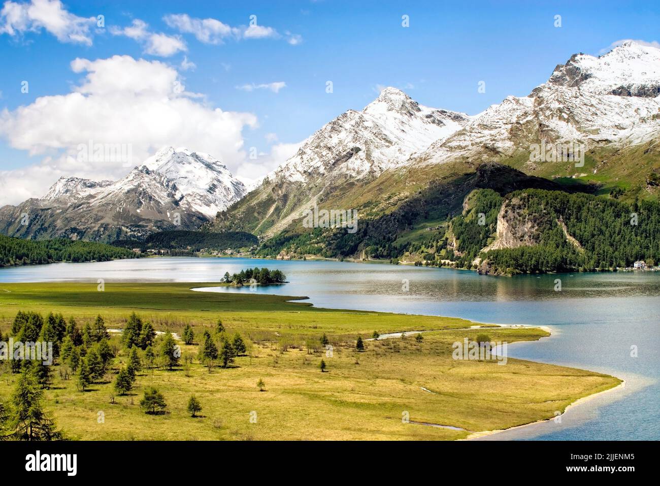 Summer landscape, Lake Sils, Switzerland, Grisons, Oberengadin, Sils ...