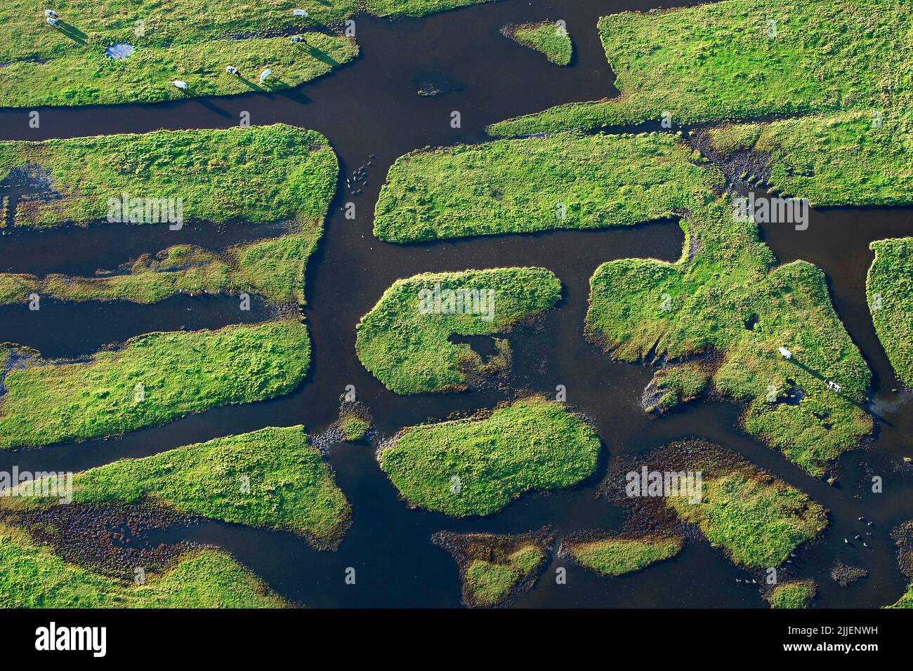 Swamplands aerial hi-res stock photography and images - Alamy