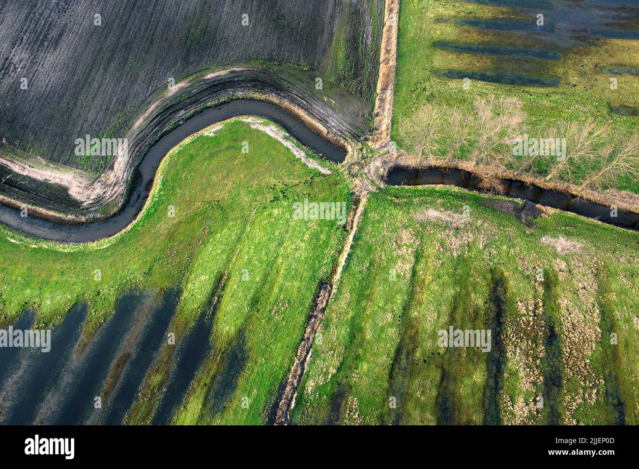 marsh and ditches, aerial view, Belgium, Flanders, Meetkerke Stock ...