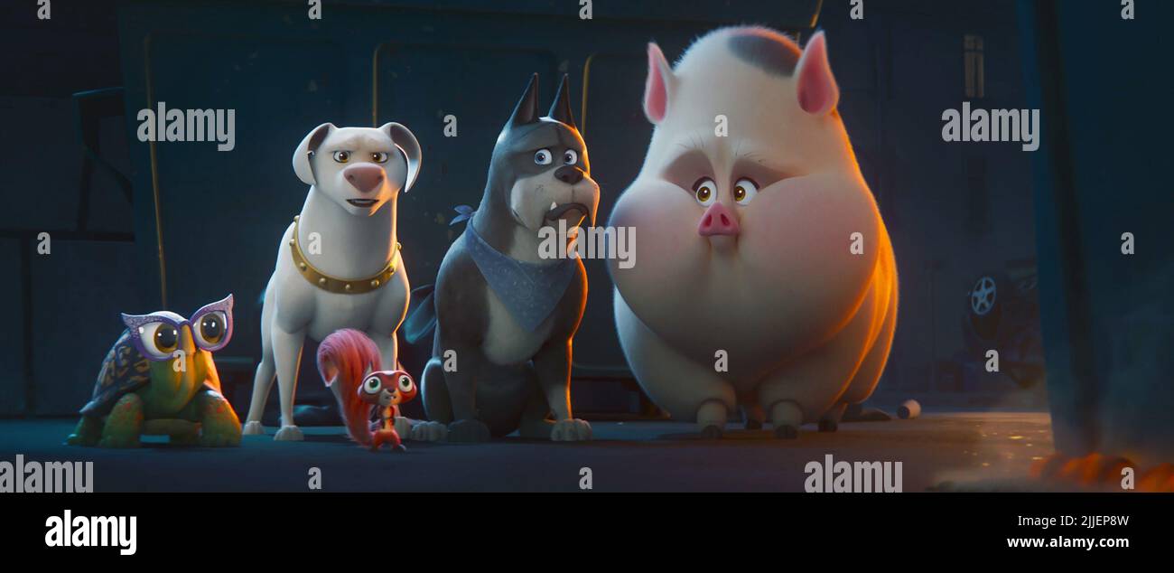 DC LEAGUE OF SUPER-PETS, (aka DC SUPER PETS), from left: Merton (voice ...