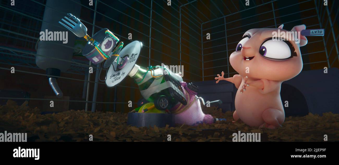 DC LEAGUE OF SUPER-PETS, (aka DC SUPER PETS), Lulu (voice: Kate ...