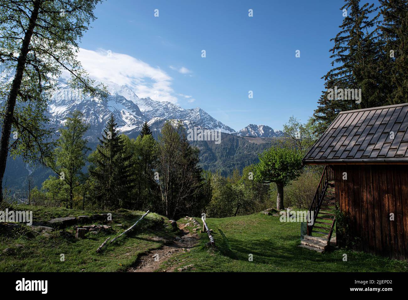 Landscape of the French Alps with the red needles and the Mont Blanc massif Stock Photo - Alamy