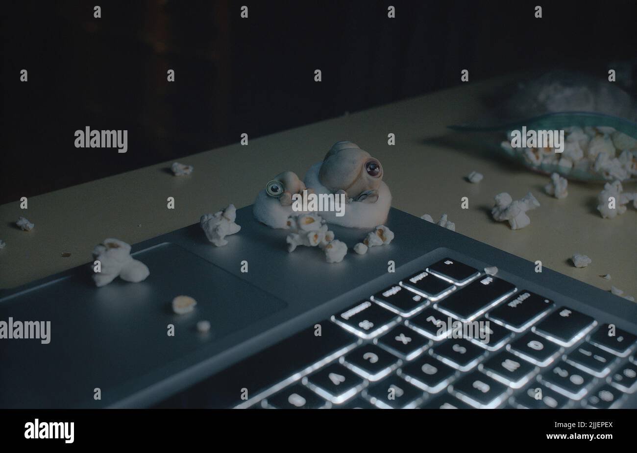 MARCEL THE SHELL WITH SHOES ON, from left: Marcel (voice: Jenny Slate ...