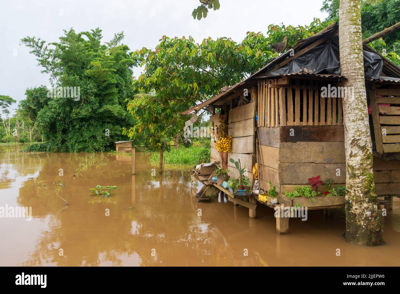 El rama nicaragua hi-res stock photography and images - Alamy