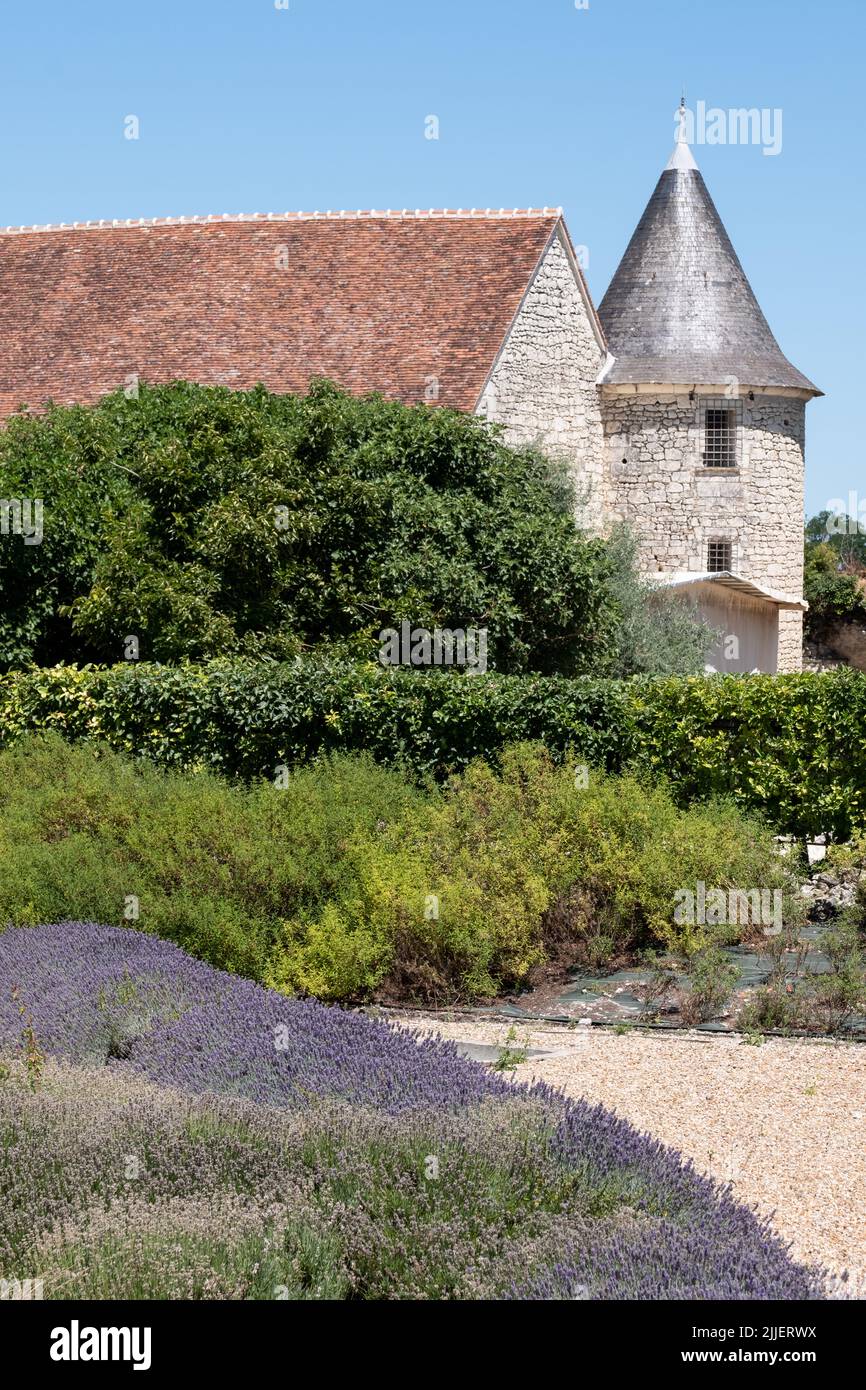 Tower and red roof at Chateau du Rivau, with lavender flowers in the ...