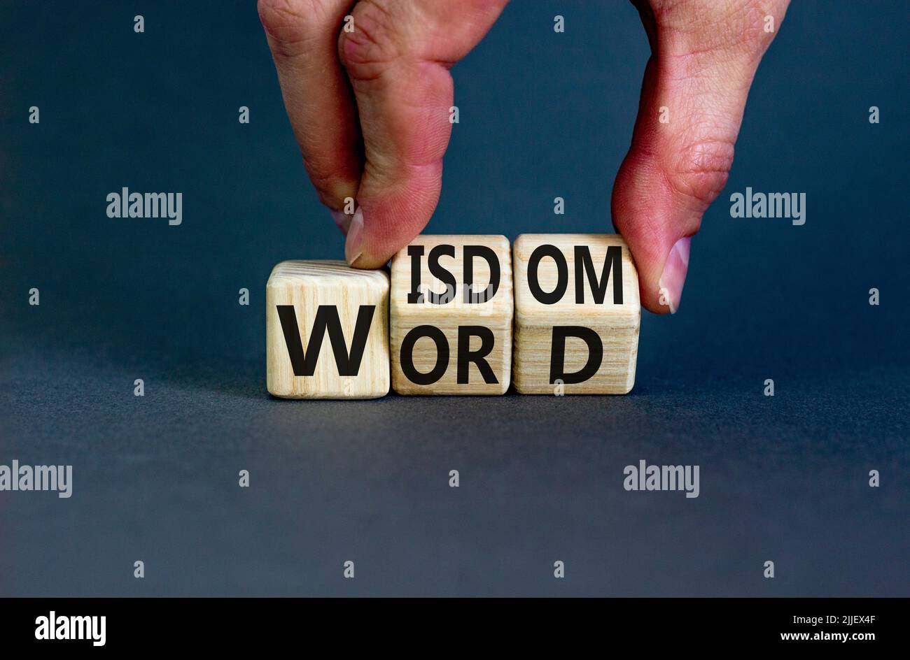Wisdom word symbol. Concept words Wisdom word on wooden cubes ...