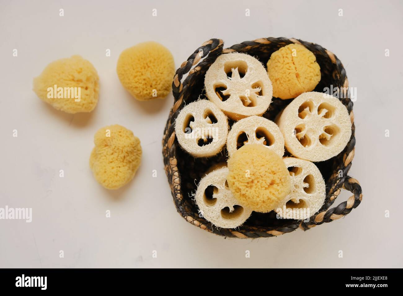 Bio sponge hi-res stock photography and images - Alamy