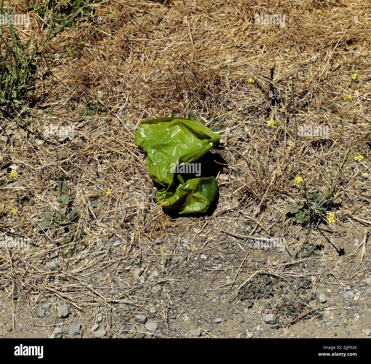 bag with dog poop left along the side of a trail in Dry Creek Regional ...