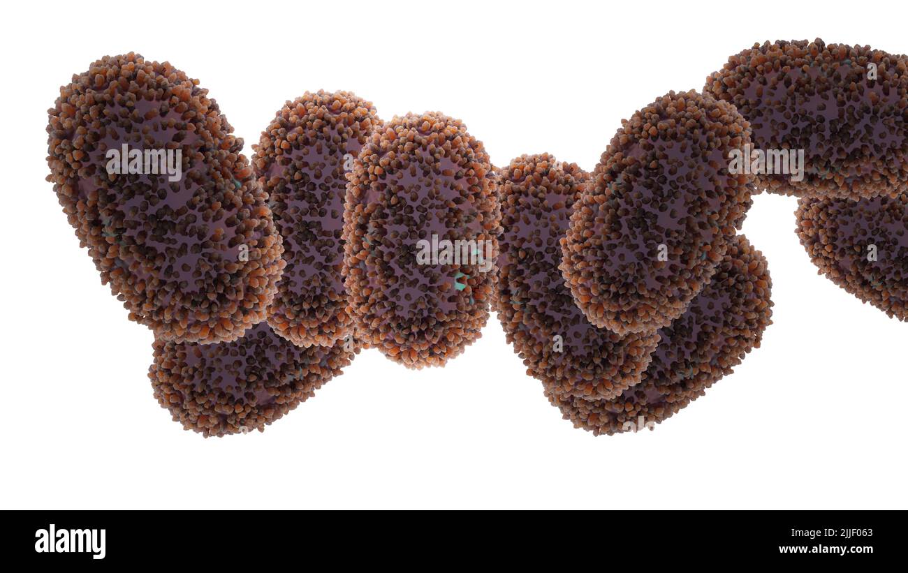 Monkeypox virus cell hi-res stock photography and images - Alamy