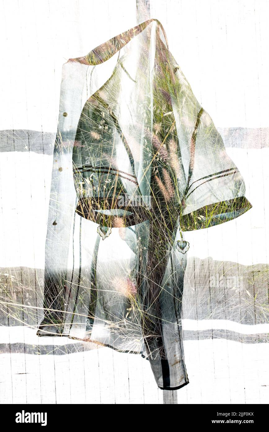 Sheer blouse Cut Out Stock Images & Pictures - Alamy