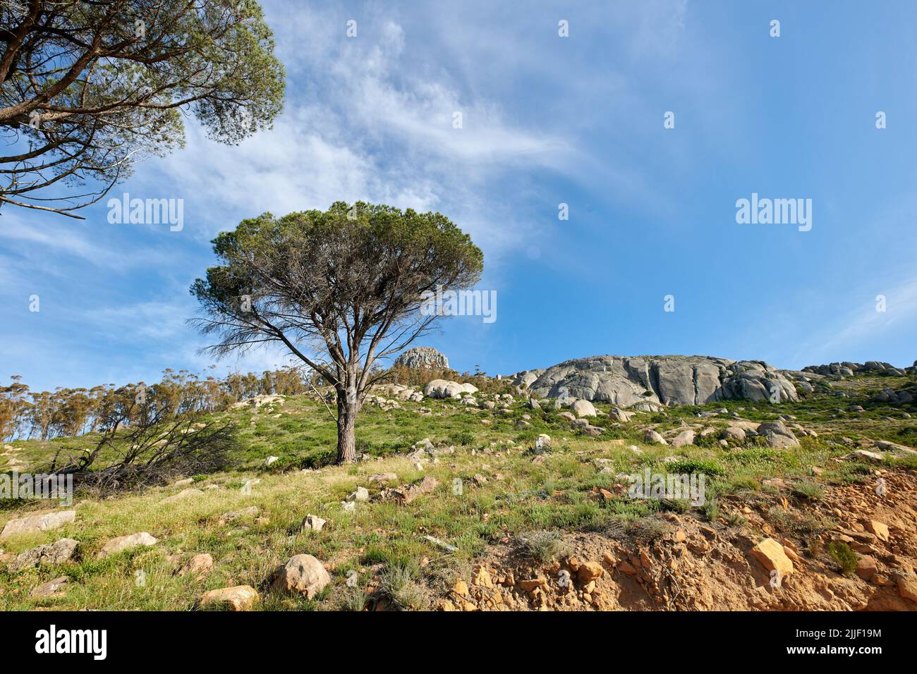 Natural landscape view of mountain in nature. Scenic look of rocky ...