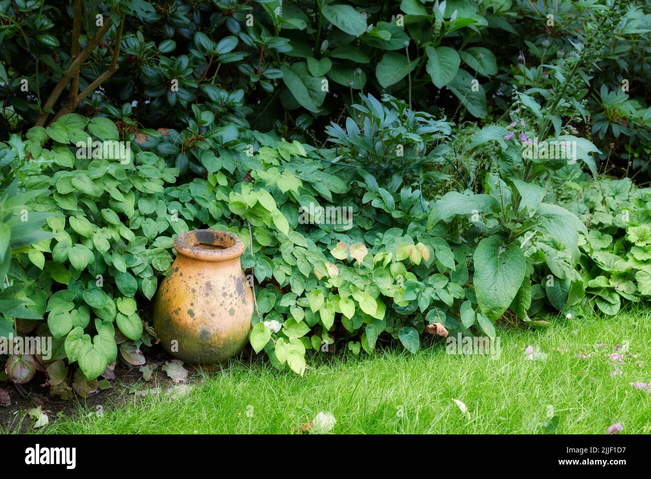 Green garden landscape in nature with a gardening pot, grass, leaves ...
