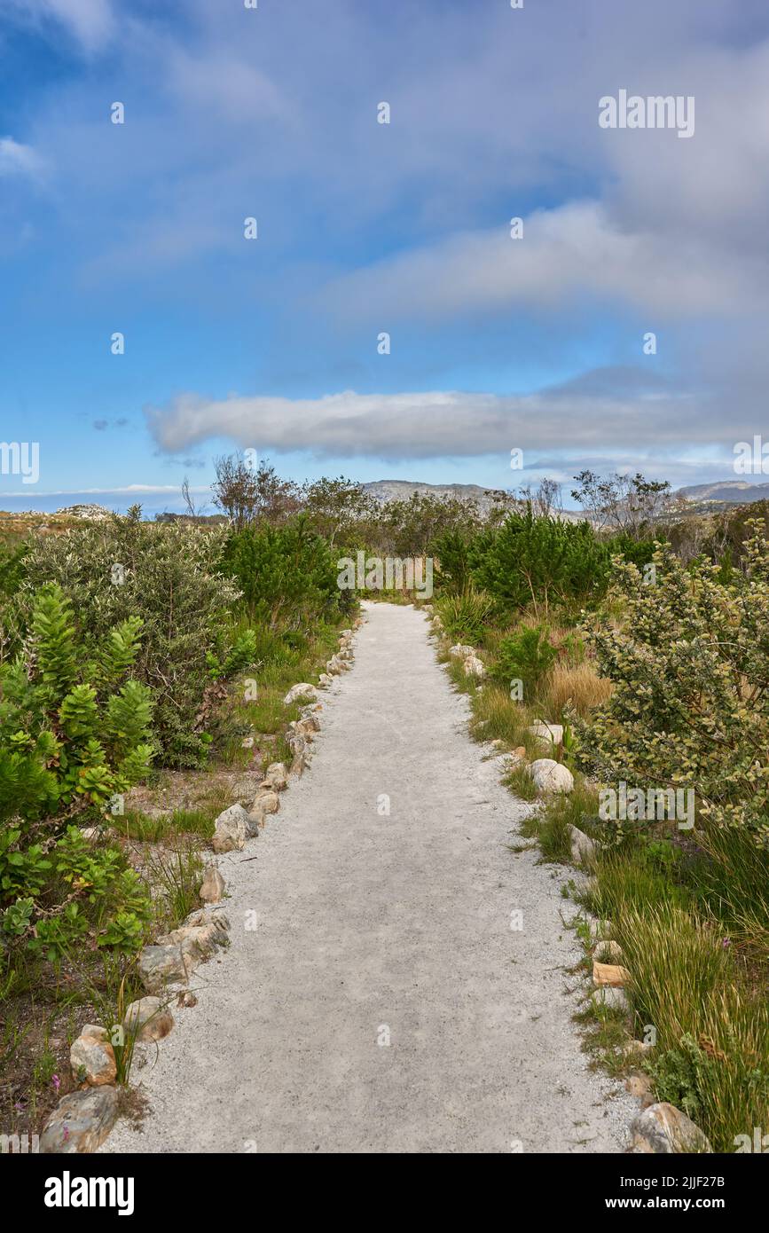 Isolated hiking trail in a natural landscape perfect for walking ...