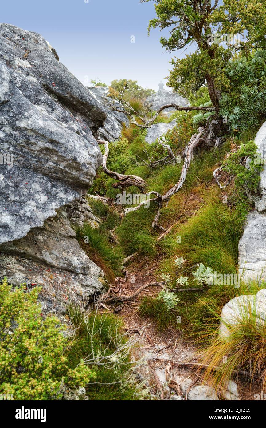 Closeup view of mountain terrain in nature. Rocky boulder slopes with ...