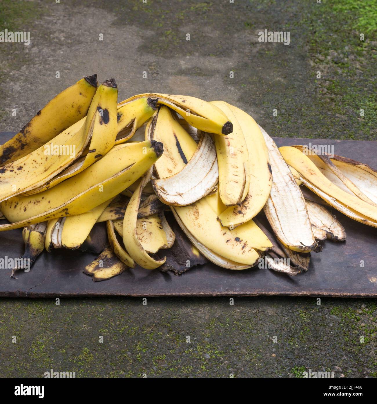 Compost pile organic waste food hi-res stock photography and images - Alamy