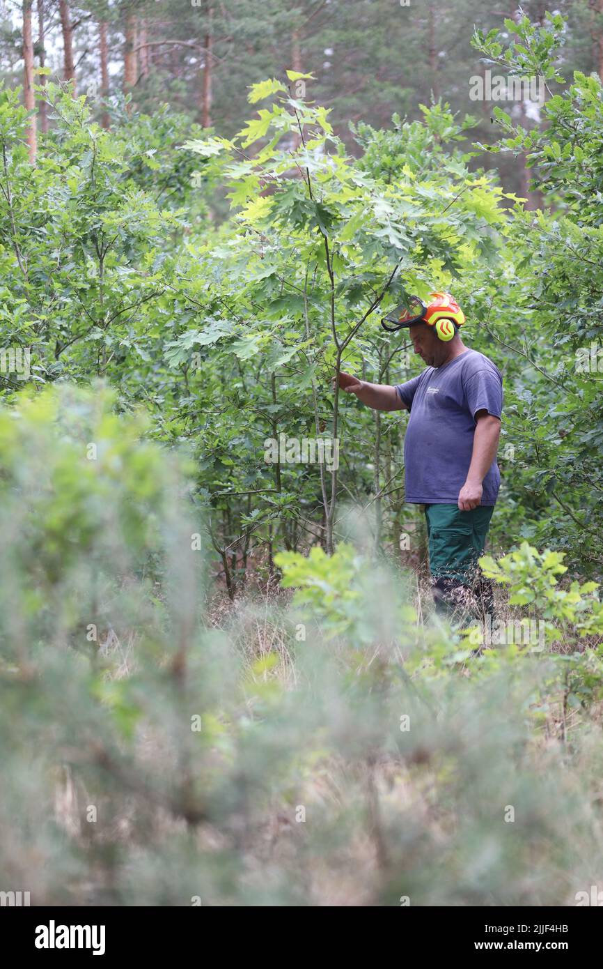 Fire prone area hi-res stock photography and images - Alamy