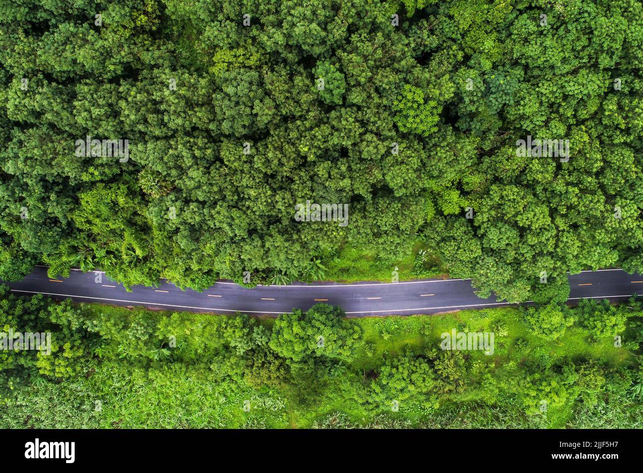 Above aerial view of rural road in deep rain forest with green tree by ...