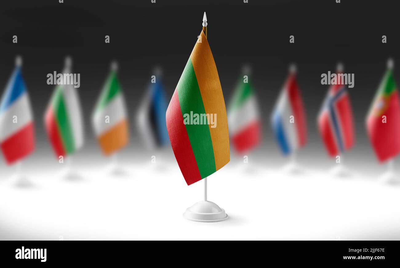 The national flag of the Lithuania on the background of flags of other ...