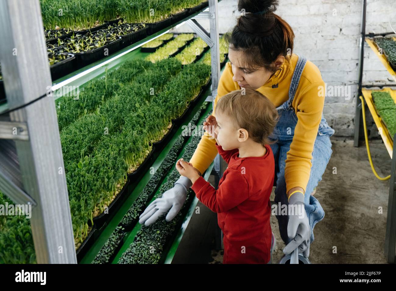 Child parent planting seeds hi-res stock photography and images - Alamy
