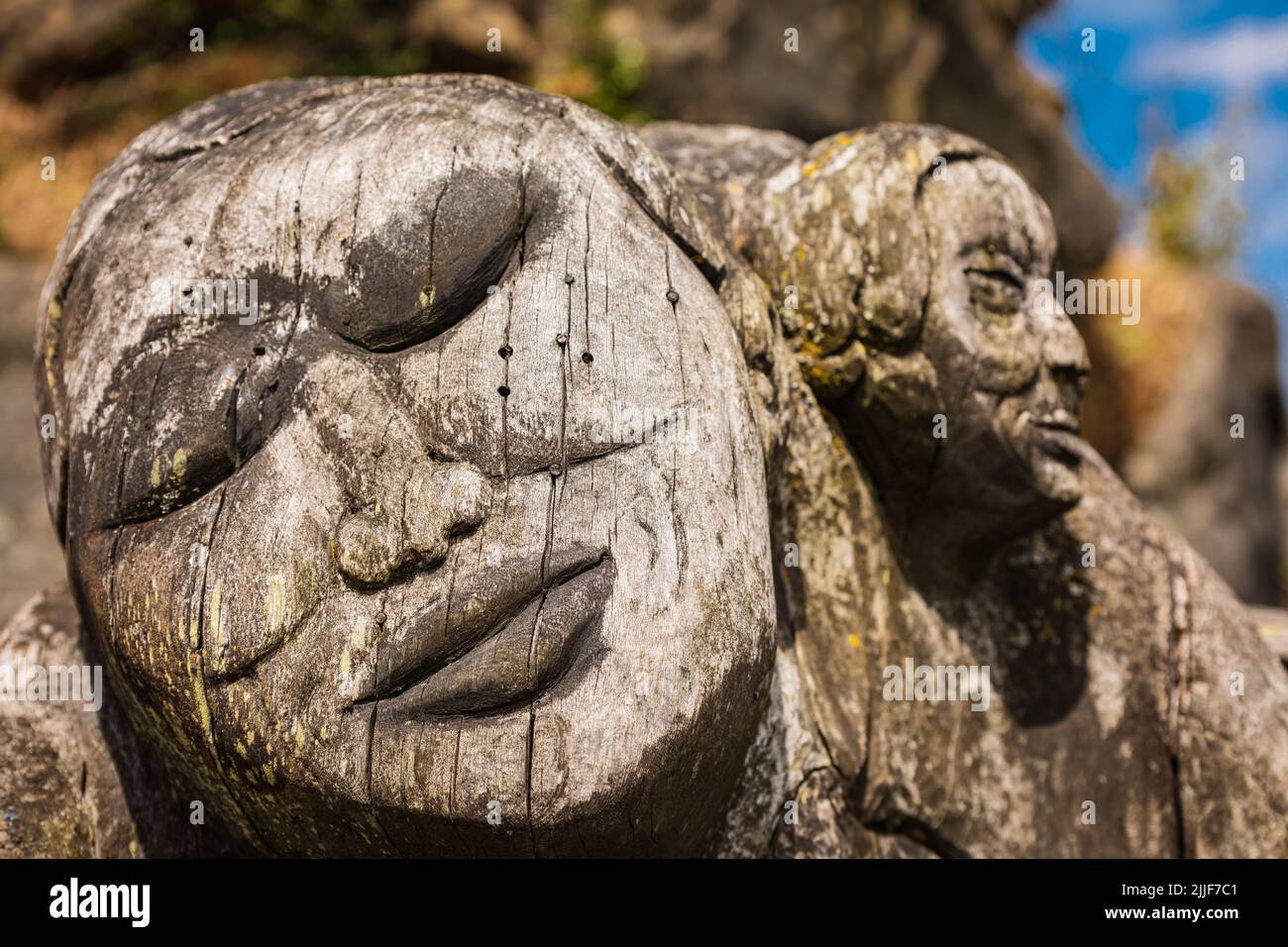 Wood carving in the shape of a head of a woman in Jack Point and Biggs ...