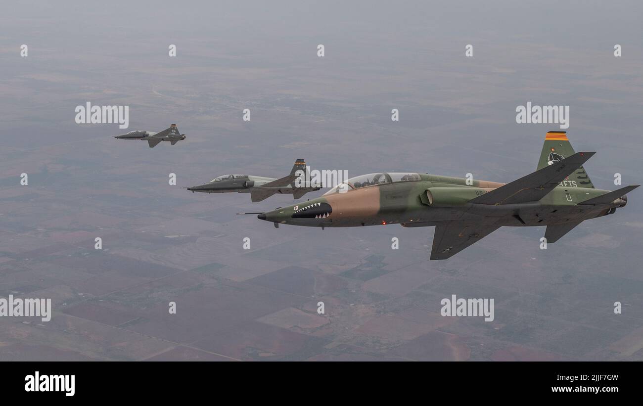 Instructor pilots assigned to the Euro-NATO Joint Jet Pilot Training ...