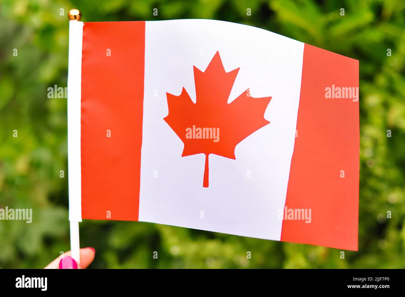 Canadian national flag map hi-res stock photography and images - Alamy