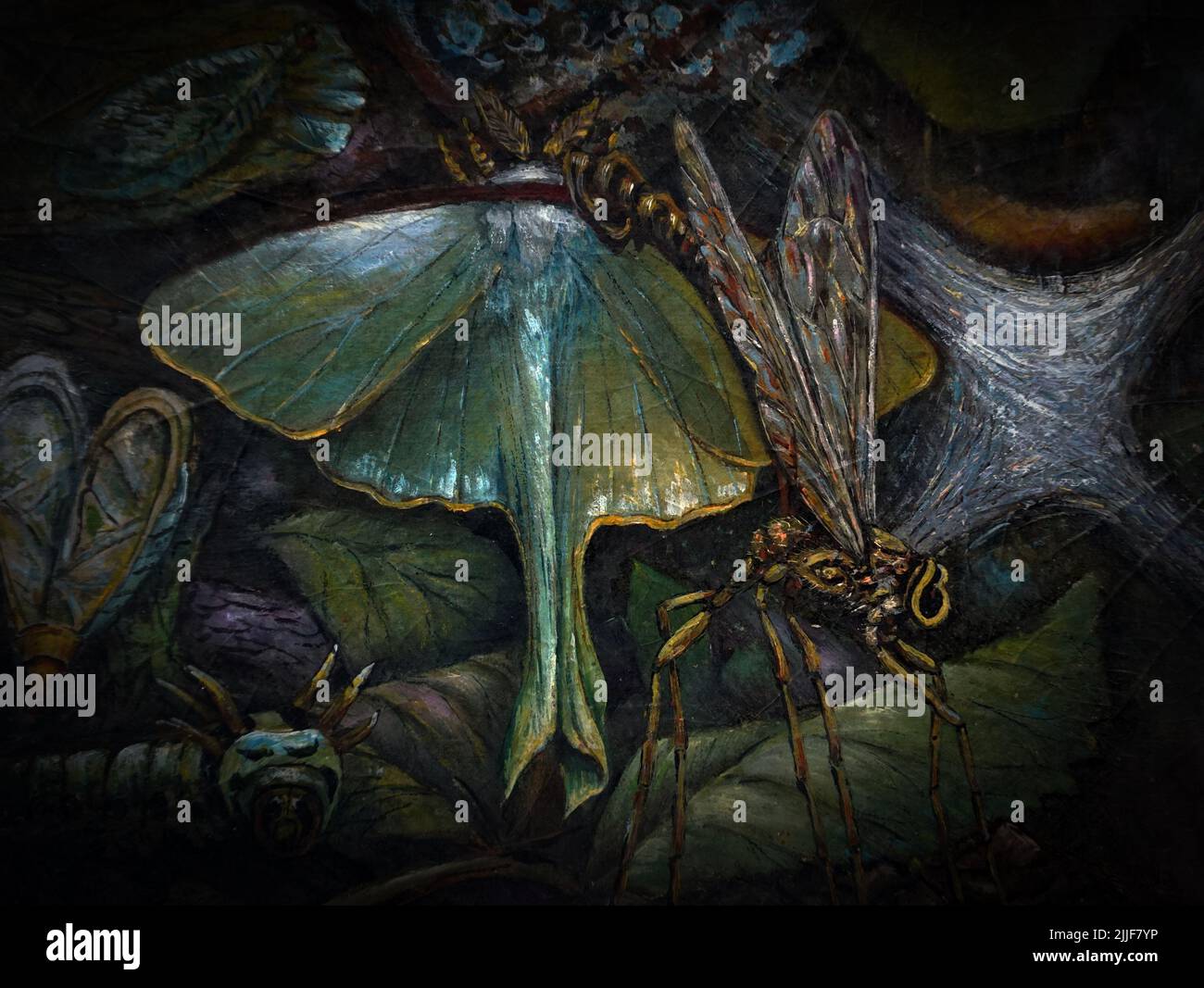 painting backgrounds for design Oil color Insect growth , Night ...