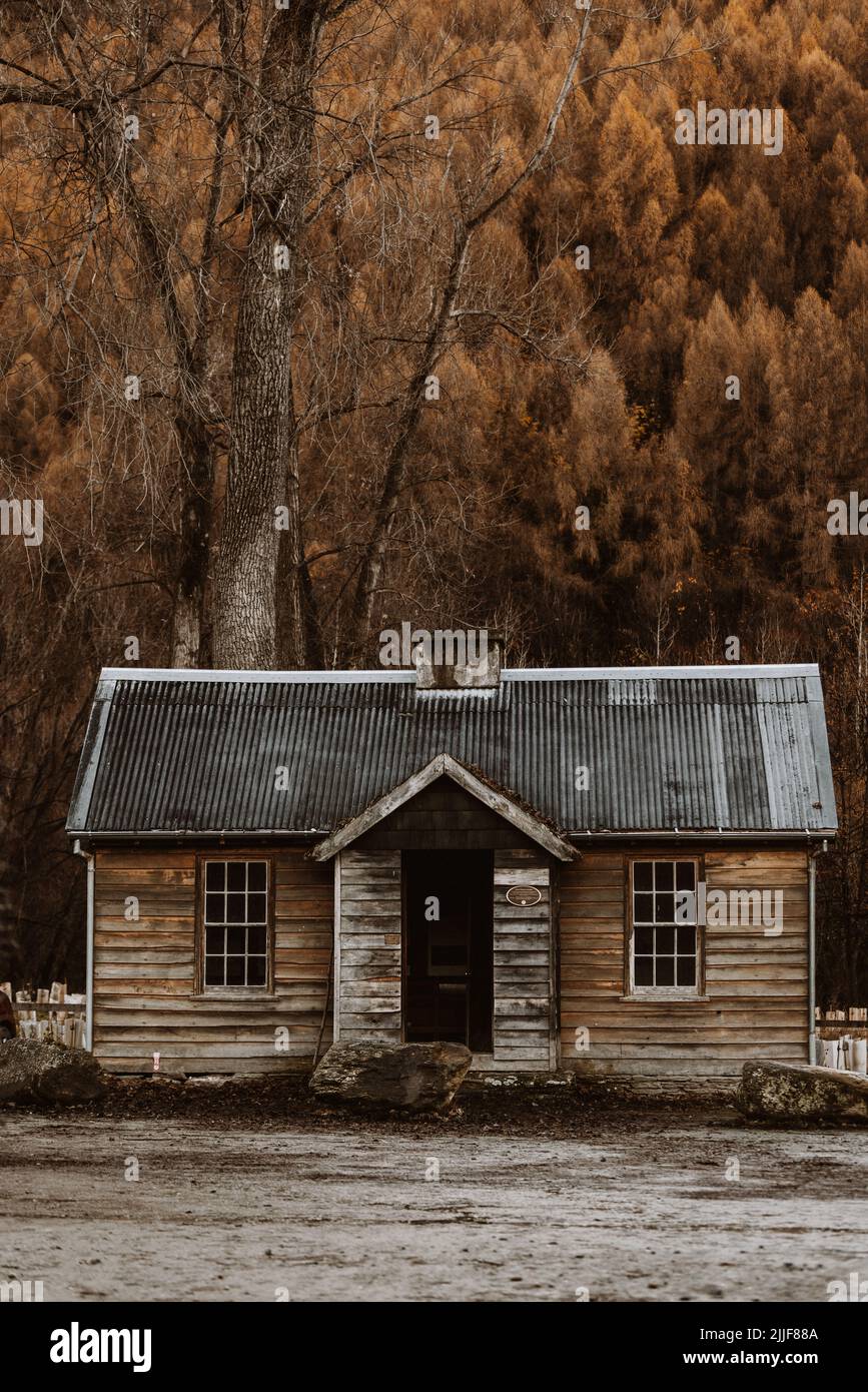 Arrowtown shed in colorful autumn forest Stock Photo - Alamy